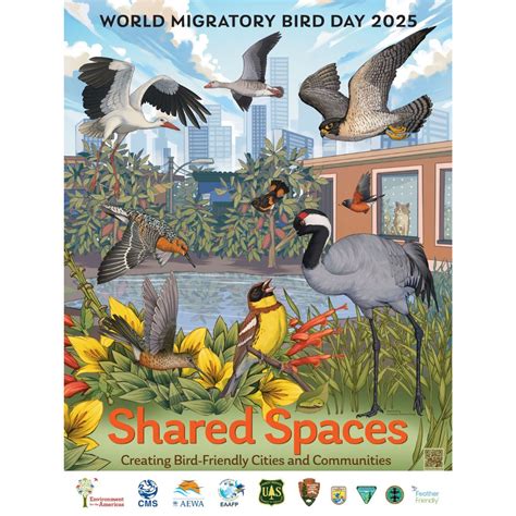 Nps Youthyoung Adult Programs Npsyouth • Instagram Photos And Videos