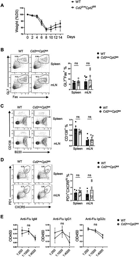 Cpt2 Mediated Fatty Acid Oxidation Is Dispensable For Humoral Immunity