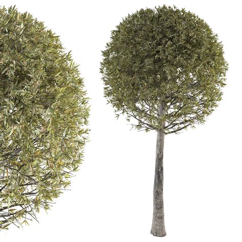 Tree No 1 Flippednormals