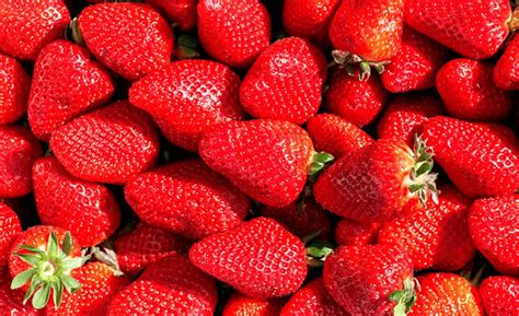 Bitmap Pengertian Fungsi Kelebihan Dan Kekurangan