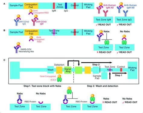 Approaches For Rapid Sars Cov 2 Antibody Detection A Example Of Download Scientific