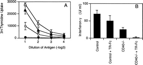 Lcmv Specific Cd4⁺ T Cell Responses At A Later Time Point C57bl 6 Mice