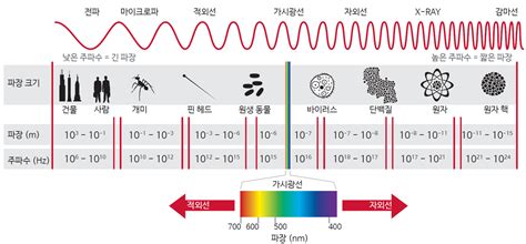 영상처리image Processing 생각 저장소