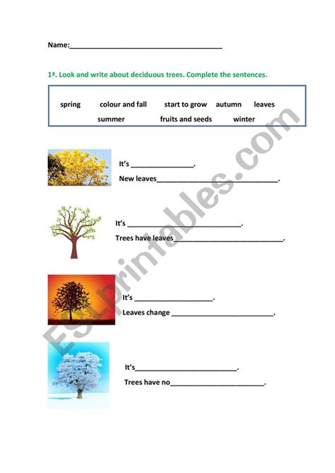 Deciduous Trees Esl Worksheet By Cipriana