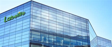 Labelife 5 Pack Replacement For Brother P Touch Label Tape Tze 231 Tze