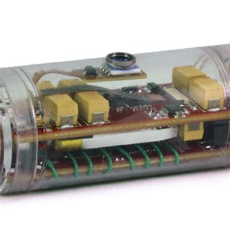 Photo Of The Sensor Fish Device Download Scientific Diagram