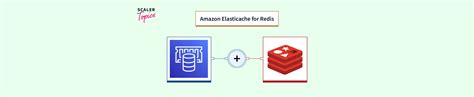 Introduction To Model Optimization In Pytorch