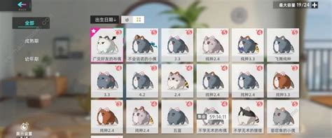 你们培养的小猫怎么样了 猫之城 小米游戏中心