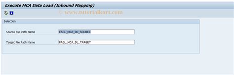 Gmcaload Sap Tcode Mca Data Load