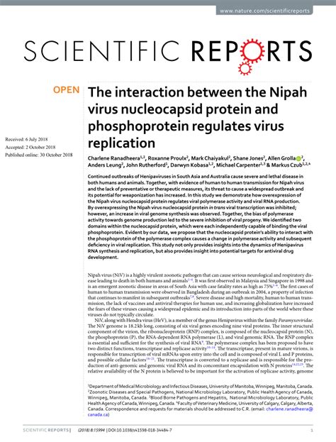Pdf The Interaction Between The Nipah Virus Nucleocapsid Protein And