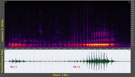 recording 2 spectrogram and time display of recording r2 1 time scale download scientific