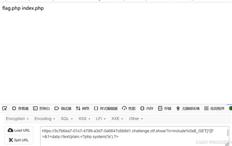 Ctfshow Web入门 Web29 Web56 命令执行wpctfshow Web29 Csdn博客
