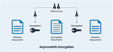 Web Api Vs Rest Api Simplified Critical Differences Artofit