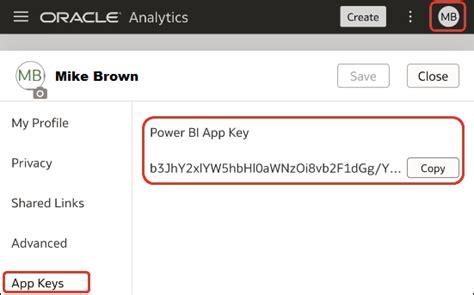 从 Microsoft Power Bi Desktop 连接到 Oracle Analytics Cloud（预览）