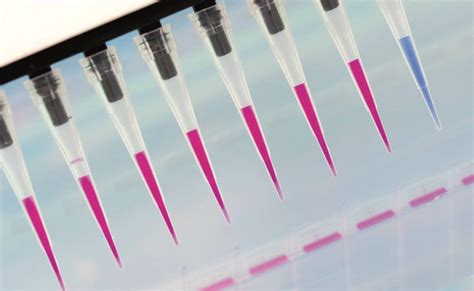 MC Diagnostics Automated Molecular Diagnostics Products HLA Typing Service Technical