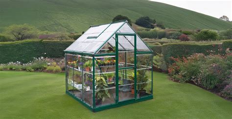 Understanding The Disease Process What Is A Disease Process Euronews World