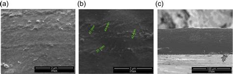 23 Fesem Micrographs Of The A Surface B 2 μm Cross Section And Download Scientific