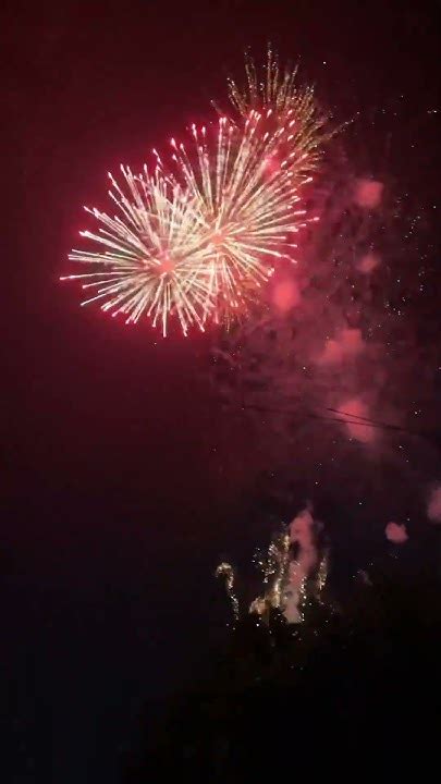 タイパが良すぎる2023生実池花火大会 花火大会 タイパ Japantravel Youtube