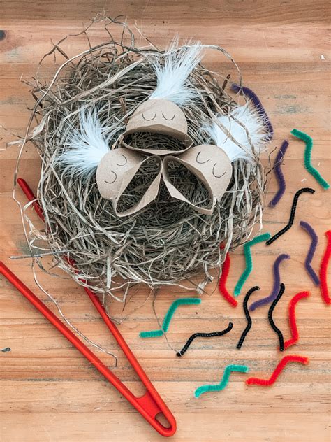 Bird Activities Craftmonsterz