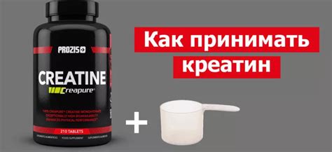 Как принимать креатин в порошке и капсулах для набора мышечной массы