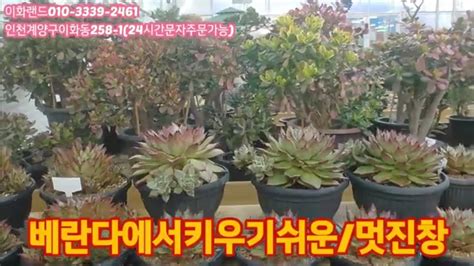 특집멋진아이들구경해요 다남다육010 3339 2461 Youtube