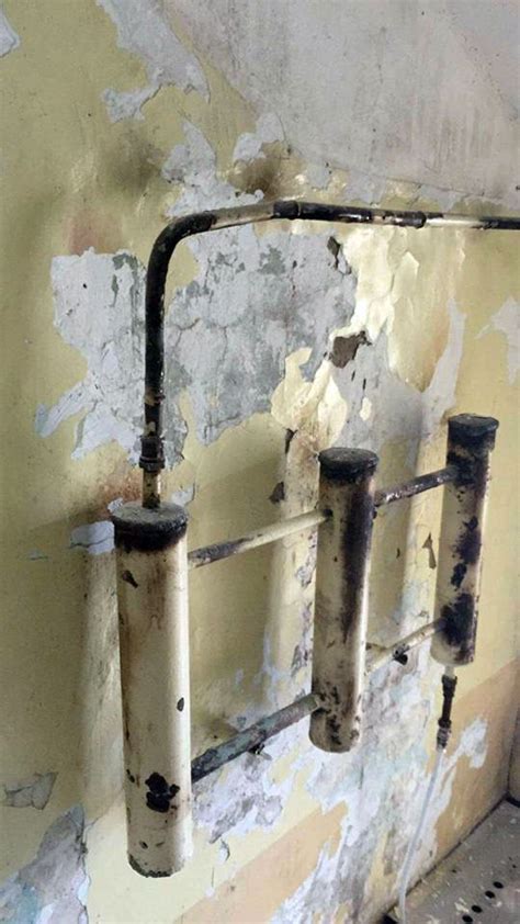 Эх нялхсын эргэлтийн хэсгийг залуус сайн дураар засварлаж байна