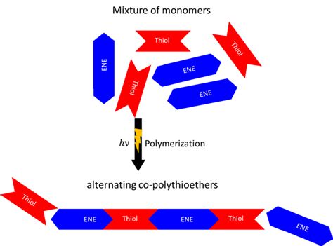 1 Schematic Displaying The Steps Of Thiol Ene Synthesis Of Alternating