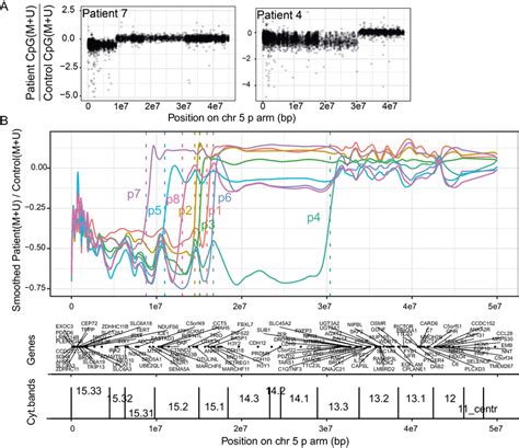 Characterization Of The Chromosomal Deletion From Dna Methylation Data