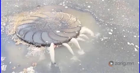 Бохирын хоолой руу хонины нэхий хийсэн байжээ