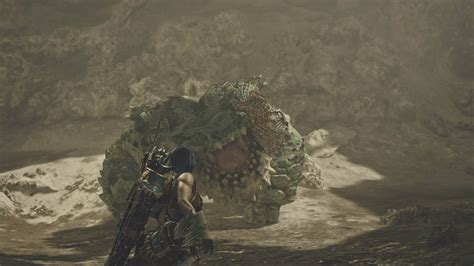 How To Beat Chatacabra In Monster Hunter Wilds