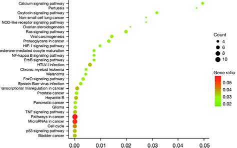 Kegg Signaling Pathway Analysis Kegg Kyoto Encyclopedia Of Genes And