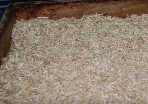 Flax And Hemp A Non Wood Particleboard Alternative Hemp Gazette