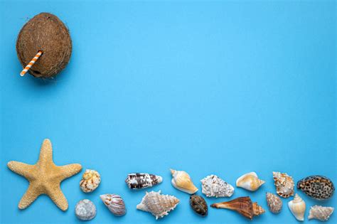 여름과 휴가 플랫은 짚이 달린 코코넛 큰 별 물고기 및 파란색 배경에 그림의 아래쪽 가장자리에 다양한 조개와 함께 놓여 있습니다 독일에 대한 스톡 사진 및 기타 이미지