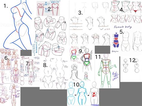 Female Figure Drawing