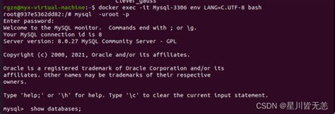 Linux 安装配置docker 和docker Compose 并在docker中部署mysql和中文版portainer图形化管理界面 Portainer 修改 Storage