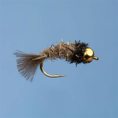 Caddisfly Nymph