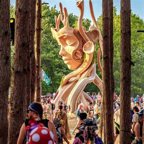 Win A Trip To Live The Good Life At Electric Forest