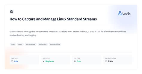 How To Capture And Manage Linux Standard Streams Labex