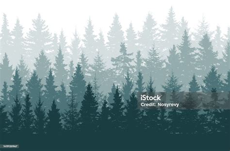 숲 배경 아름다운 풍경 벽지 전나무 나무의 실루엣 벡터 일러스트 레이 션 숲에 대한 스톡 벡터 아트 및 기타 이미지 숲 질감 소나무 침엽수 Istock