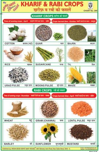 What Is The Difference Between Rabi And Kharif Crops 45 Off