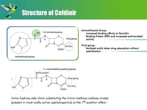 Cefexta Cefdinir An Extended Spectrum Antibiotic