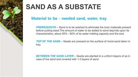 Testing For Seed Germination Pptx