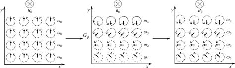 An Illustration Of The Phase Encoding Process In Mri B0 Is Directed