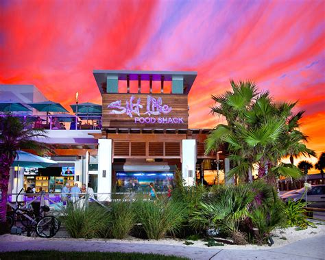 The Ice Plant “why Dont You Get Out Of That Wet Coat And Into A Dry