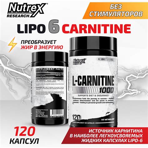 Nutrex Lipo 6 L Carnitine Л карнитин 120 капсул Спортивное питание жиросжигатель для