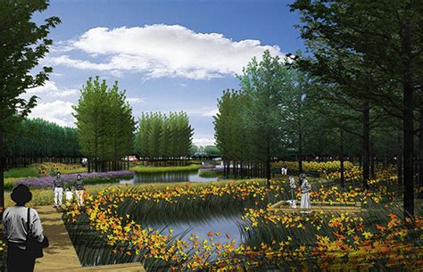 台州玉环漩门湾国家湿地公园修建性详细规划 中新佳联