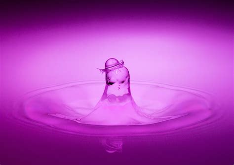 Splash Purple Macro Free Photo On Pixabay Pixabay