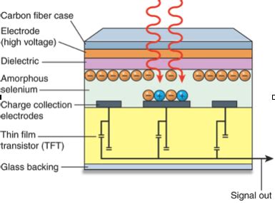 Principles Ch 22 DR Flat Panel Detector System Flashcards Quizlet