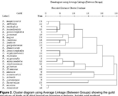 Figure 1 From Foraging Behaviour And Guild Structure Of Birds In The Montane Wet Temperate