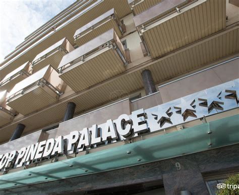 Buena Situación Pésima Calidad De La Comida Opiniones Del Hotel Hotel